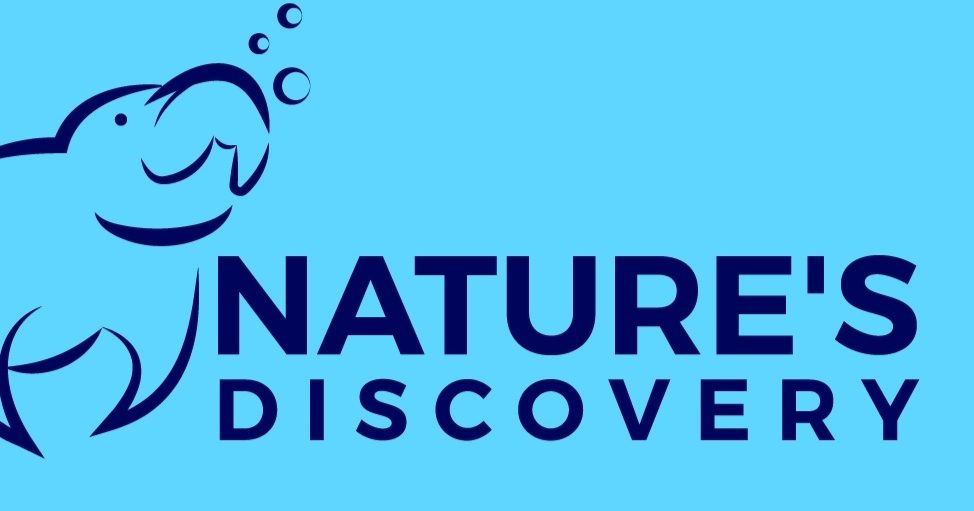 Nature's Discovery | Discover Crystal River