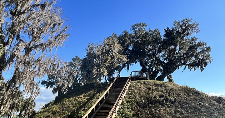 Crystal River Archaeological State Park | Discover Crystal River