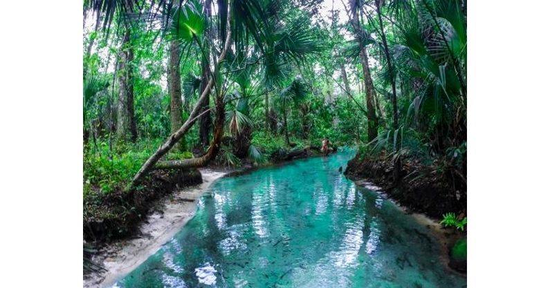 Chassahowitzka Springs Group: The Crack | Discover Crystal River