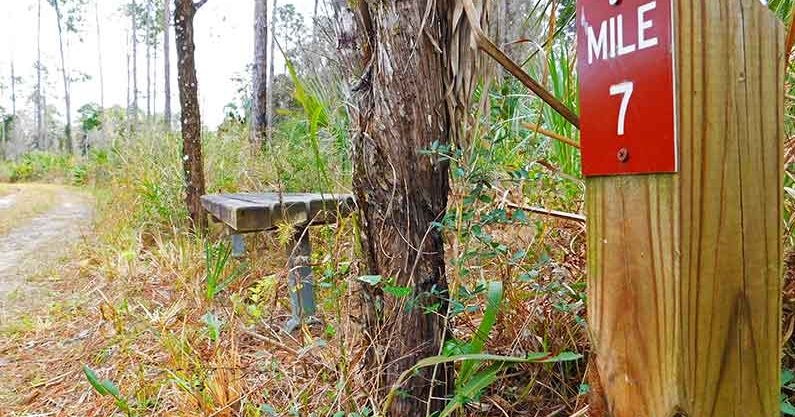 Crystal River Preserve State Park: Seven Mile Loop | Discover Crystal River