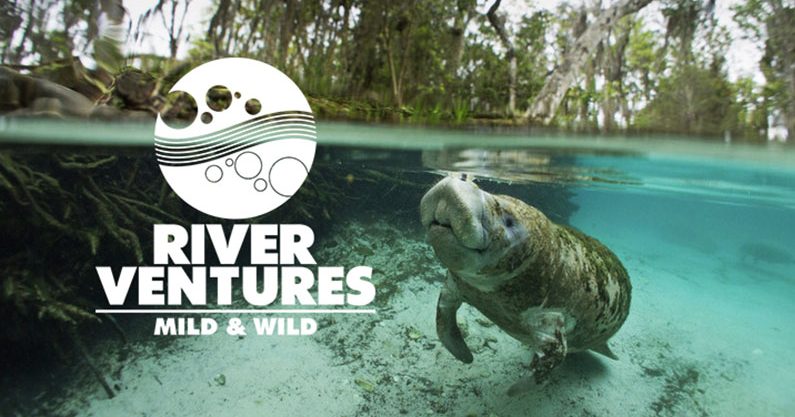 River Ventures | Discover Crystal River