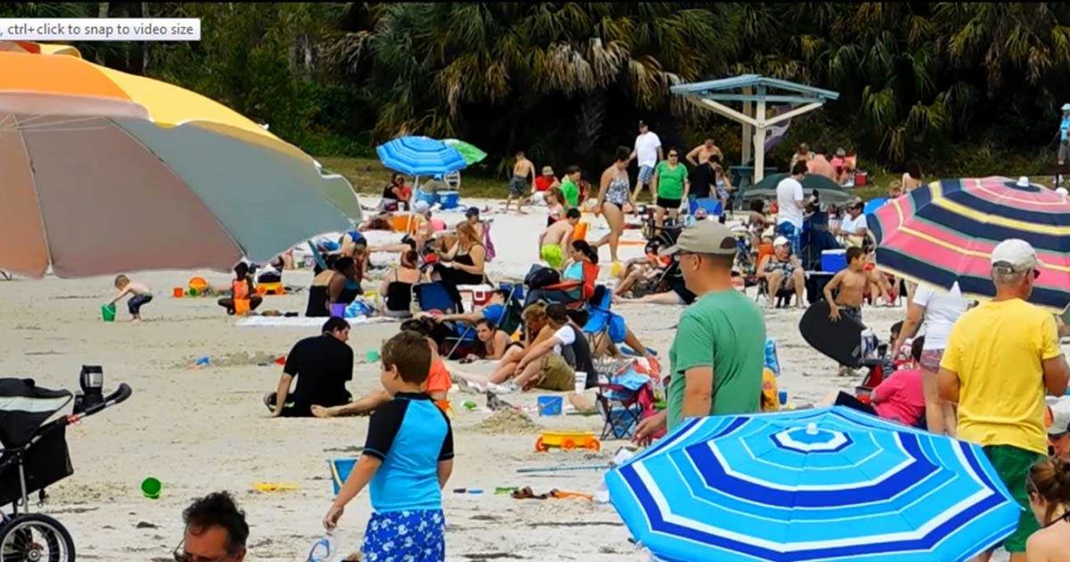 Beaches & Places to Swim in Citrus County, FL