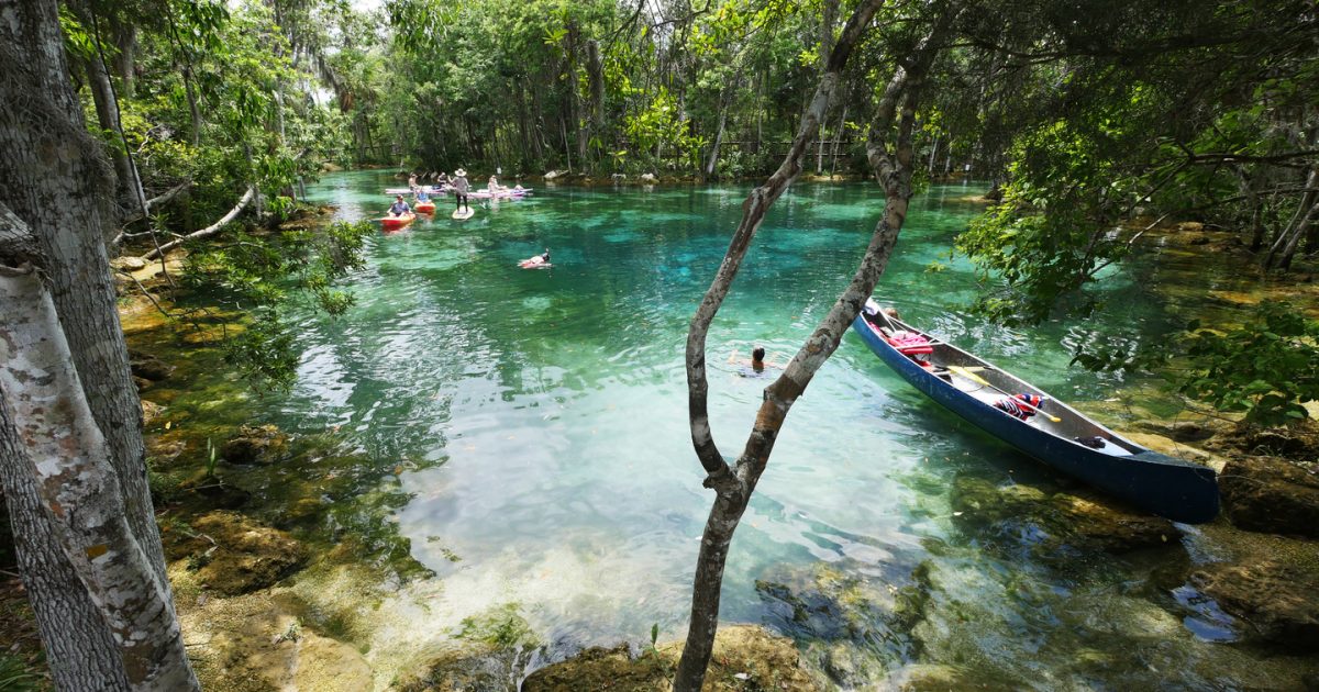 How To Visit Crystal River & Citrus County, FL, Responsibly